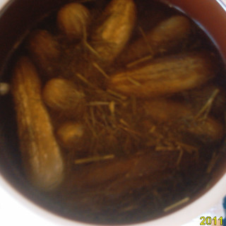 Old-Fashioned Pickle Barrel Pickles Recipe